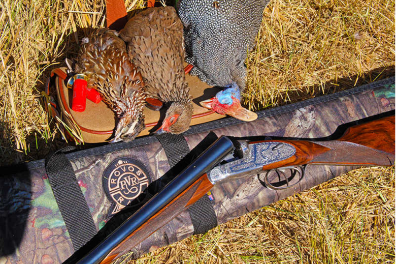 African Bird Shooting on the Luxurious Rovos Train | Ziddu