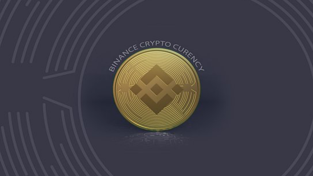 Everything To Know About BSC Crypto Listings | Ziddu Everything To Know About BSC Crypto Listings | Ziddu